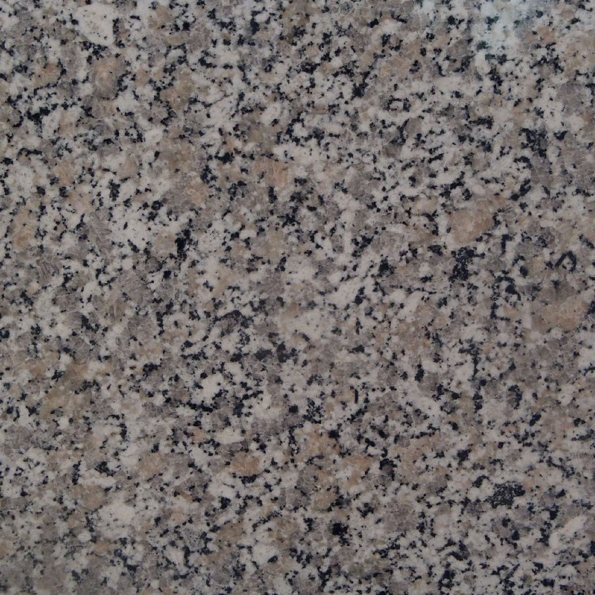Rosa Beta - Farbe: Grau | Material: Granit