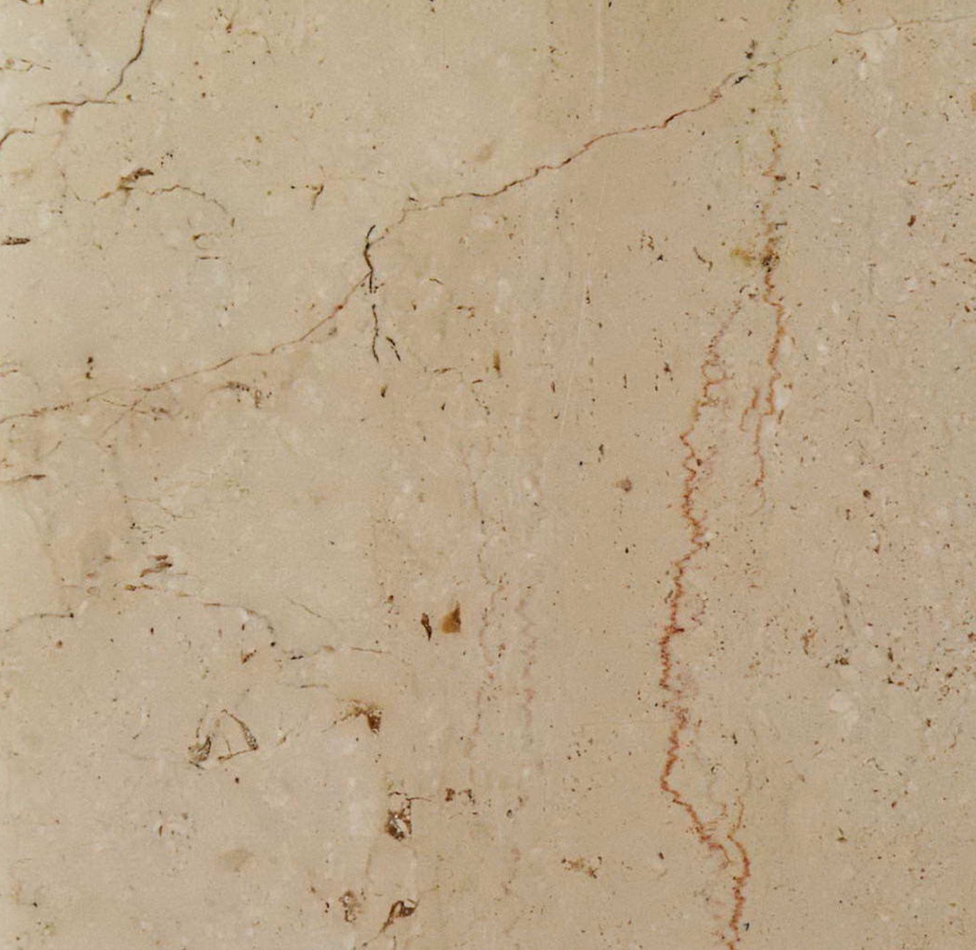 Trani Fiorito - Farbe: Beige | Material: Kalkstein